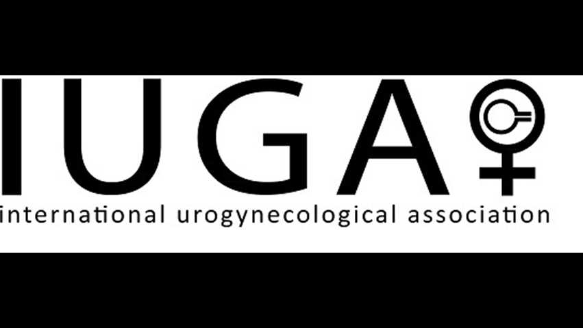 ICS 2022 Spotlight On 2 - IUGA: Intrapartum and postnatal bladder ...